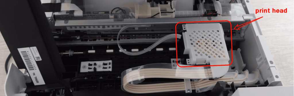 Why Is My Epson Printer Printing Lines?